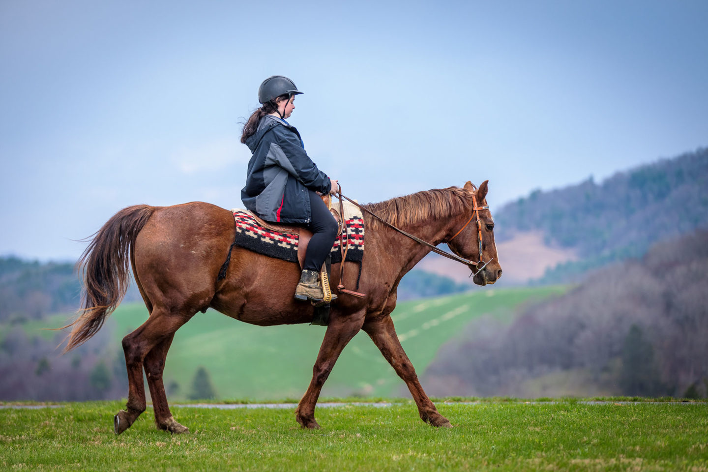 Equestrian | Student Life | Oak Hill Academy
